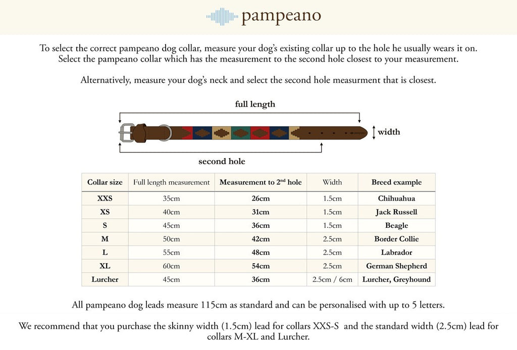 Pampeano Dog Collar – Gallyons Country Clothing
